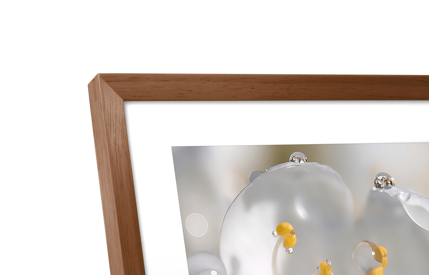 Skylight Frame 2 | Digital Picture Frame