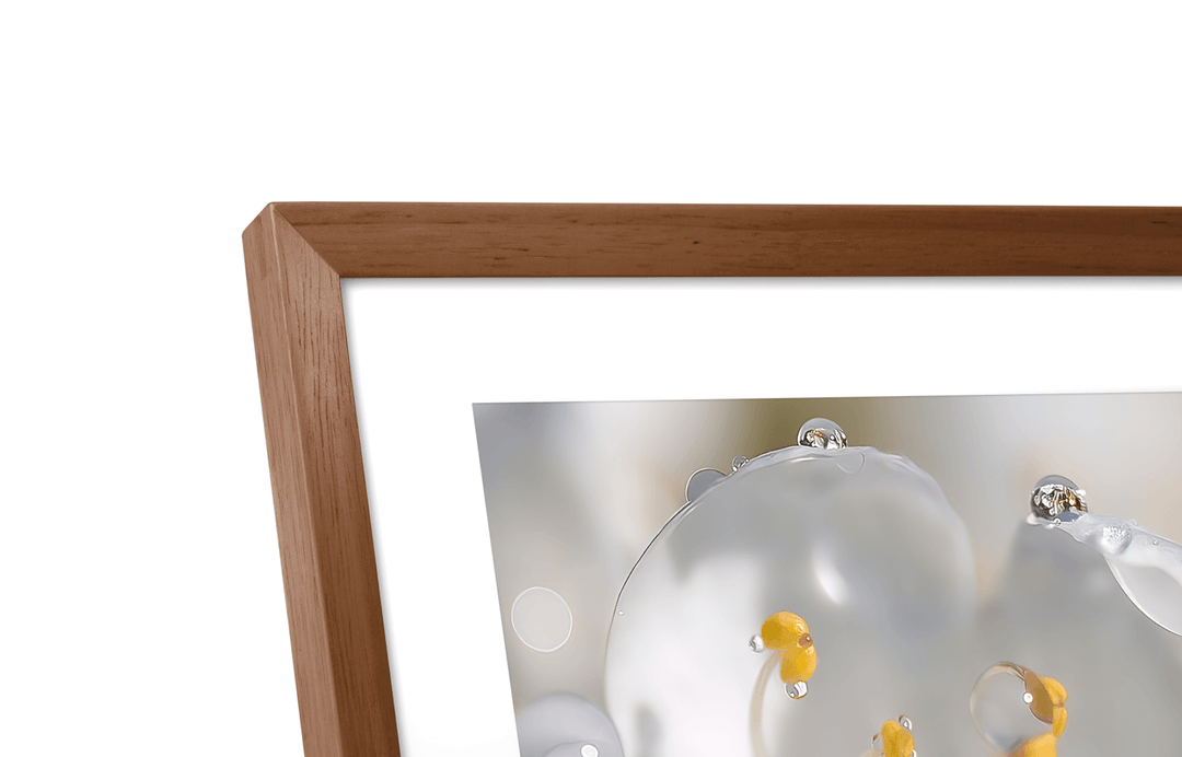 Skylight Frame 2 | Digital Picture Frame